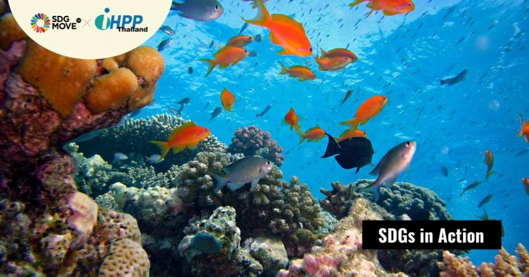 Florida Coral Rescue Center ใช้ห้องแลปหาสาเหตุโรคระบาด SCTLD ที่ทำลาย ...