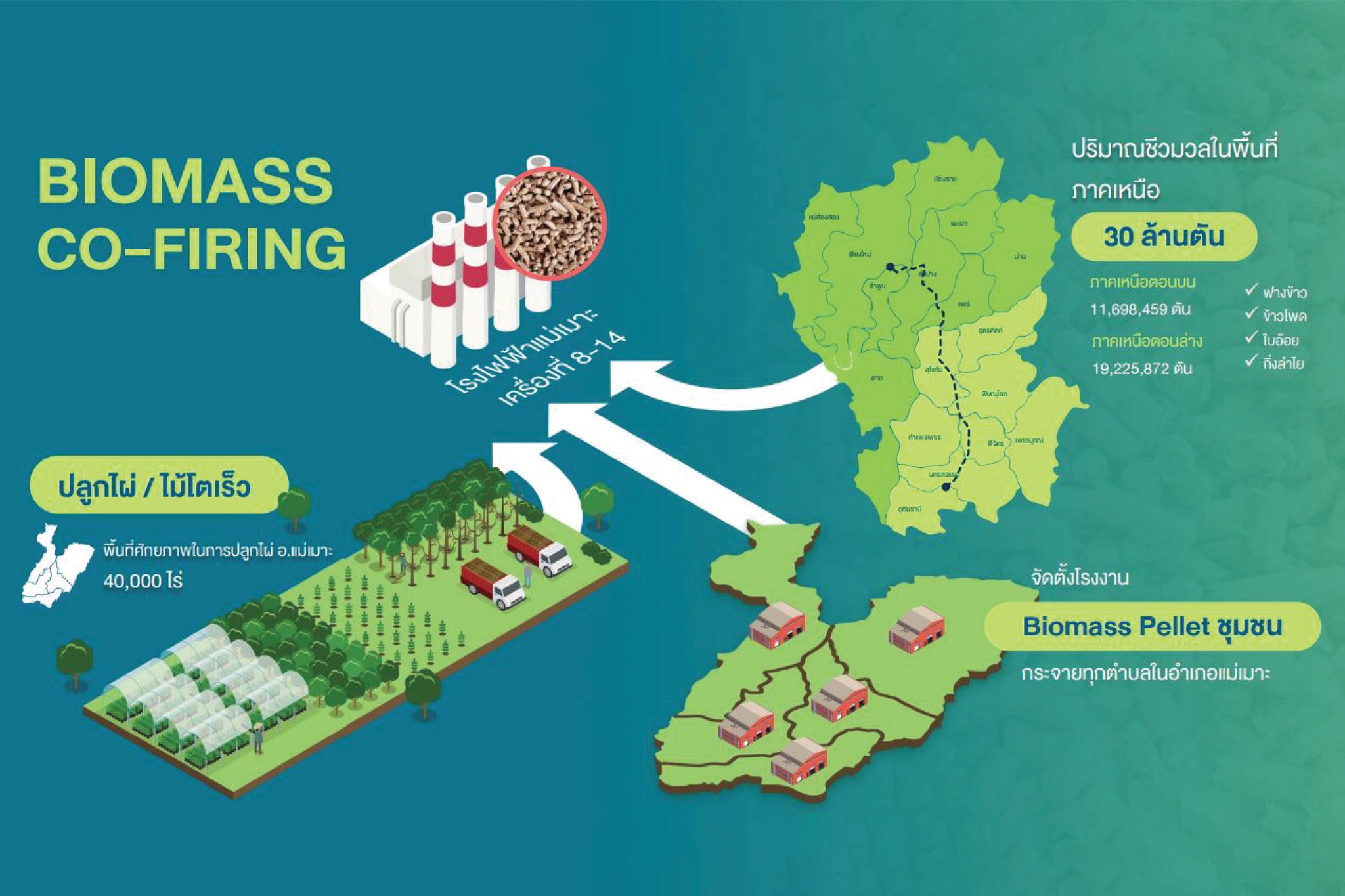 Biomass Co-Firing - กรณีศึกษาเพื่อการเปลี่ยนผ่านพลังงานที่เป็นธรรมของ ...